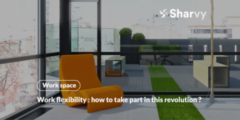 Work flexibility : how to take part in this revolution?
